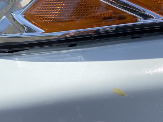 WORLD AUTO BODY - EL CAJON - Updated July 2024 - 82 Photos & 147 ...