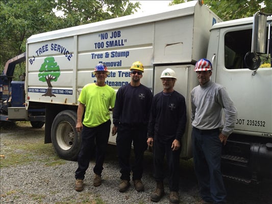 BJ TREE SERVICE - Updated December 2025 - 33 Photos - 1300 Hulton Rd ...