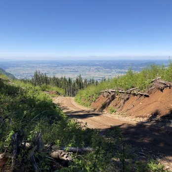 VEDDER MOUNTAIN RIDGE TRAIL - Updated October 2024 - Chilliwack ...