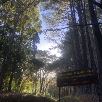 WAIHOU SPRING TRAIL - Updated December 2025 - 70 Photos & 22 Reviews ...