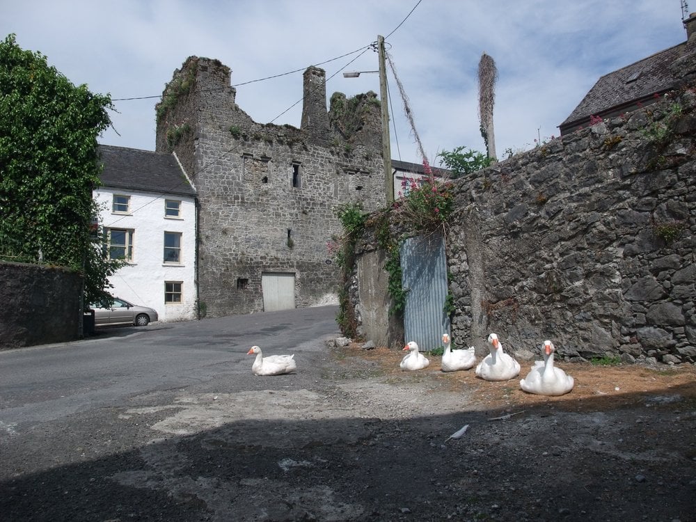 THE CASTLE - Watergate St, Fethard, Co. Tipperary, Republic of Ireland ...