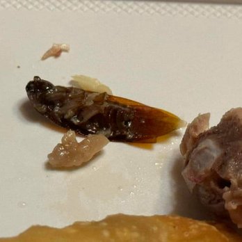 KIN SUN RESTAURANT - Updated January 2025 - 135 Photos & 65 Reviews ...