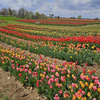 KUIPERS FAMILY FARM - Updated August 2025 - 335 Photos & 267 Reviews ...