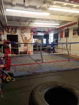 HEAVY HITTING BOXING AND FITNESS - Updated February 2025 - 66 Viaduct ...