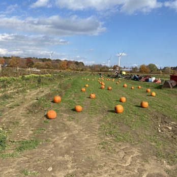 SALISBURY FARM - Updated January 2026 - 103 Photos & 37 Reviews - 11 ...