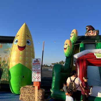 SEASONAL ADVENTURES PUMPKIN PATCH AND CHRISTMAS TREES - Updated October ...