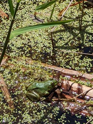 SPICER LAKE NATURE PRESERVE - Updated May 2026 - 28 Photos - 50840 ...