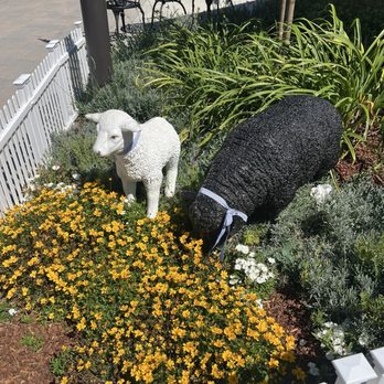 SLO RANCH FARMS - Updated October 2025 - 339 Photos & 39 Reviews - 871 ...