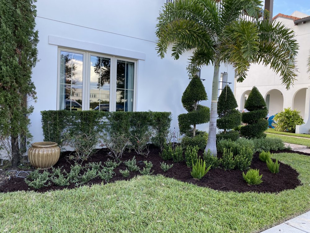 AB TREE SERVICES - Updated January 2025 - 12 Photos - Windermere ...