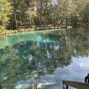 GINNIE SPRING - Updated March 2025 - 484 Photos & 253 Reviews - 7300 NE ...