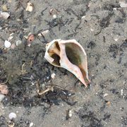 ORIENT BEACH STATE PARK - 107 Photos & 37 Reviews - 40000 Main Rd ...