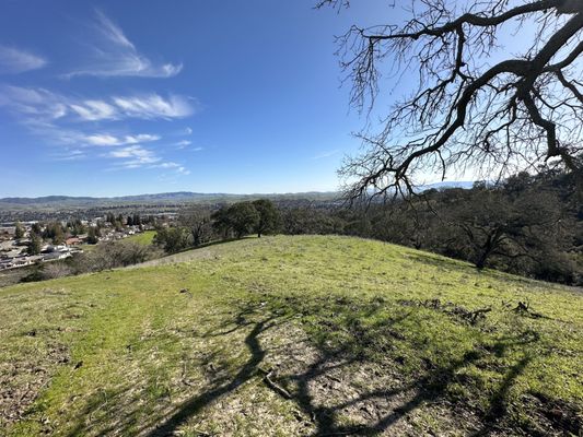 BISHOP RANCH REGIONAL PRESERVE - Updated July 2025 - 241 Photos & 33 ...