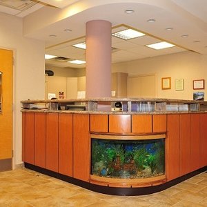 BAY RIDGE IMAGING - 9920 4th Ave, Brooklyn, New York - Radiologists - Yelp