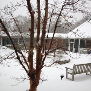 SCITUATE TOWN LIBRARY - Updated December 2025 - 85 Branch St, Scituate ...