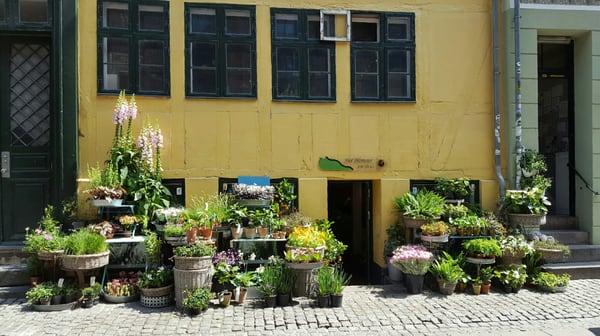 FIOL BLOMSTER - Updated January 2025 - Fiolstræde 18, København ...