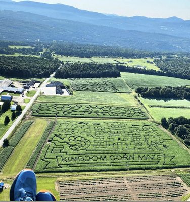 KINGDOM CORN MAZE - Updated August 2024 - 10 Photos - 1350 Burke Rd ...