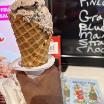 GATOR ICE CREAM - Updated May 2025 - 101 Photos & 62 Reviews - 1010 3rd ...