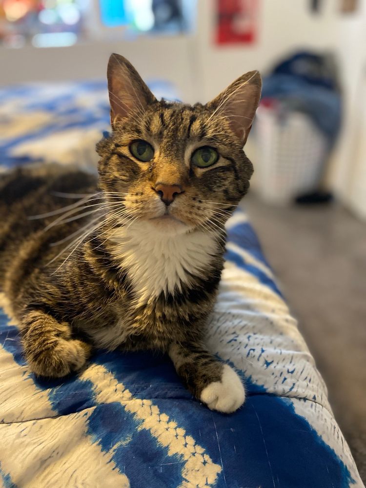 WASATCH HOLLOW ANIMAL HOSPITAL - Updated November 2025 - 29 Photos & 36 ...