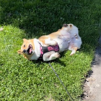 CATALDI PARK - Updated October 2025 - 240 Photos & 116 Reviews - 2900 ...