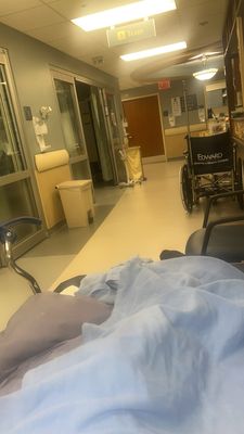 EDWARD HOSPITAL - MAIN CAMPUS - Updated July 2024 - 63 Photos & 253 ...