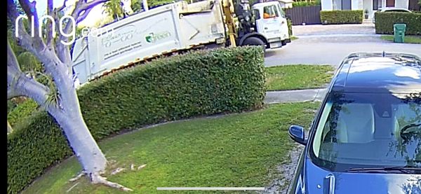 LEWIS TREE SERVICE - Updated December 2025 - 21 Photos & 31 Reviews ...