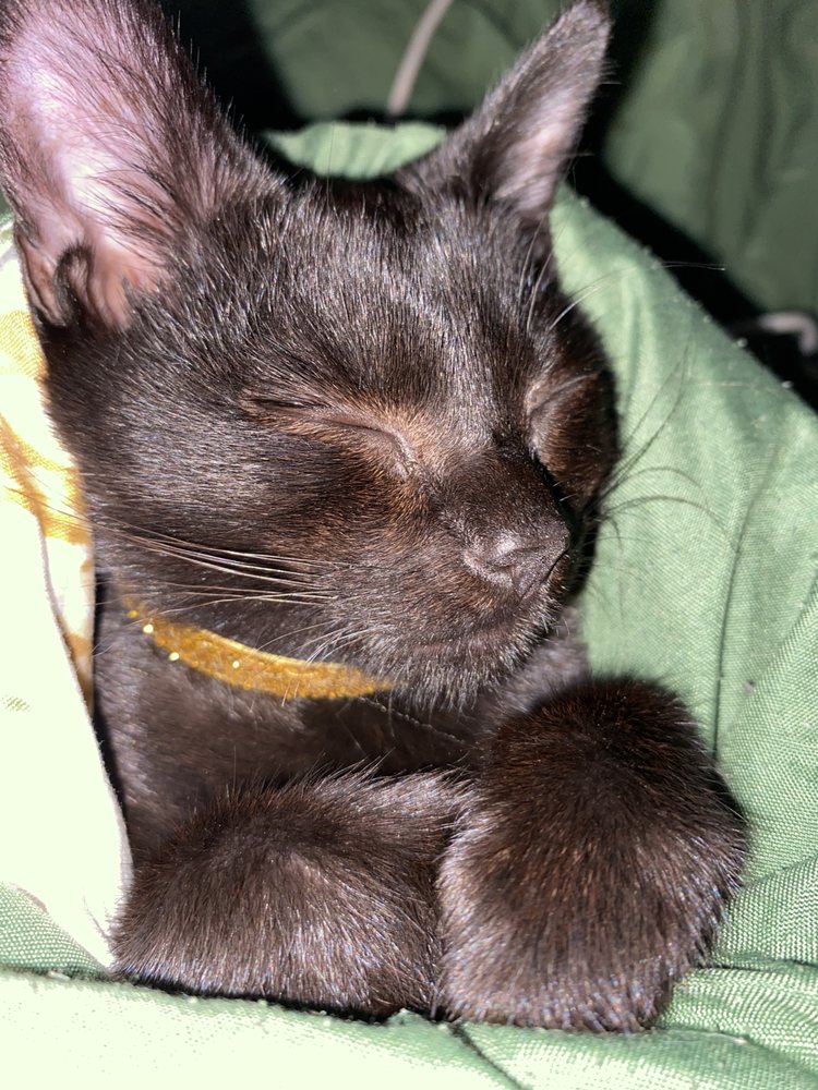 ETHER BRANDS - Updated December 2024 - Request a Quote - 1201 W ...