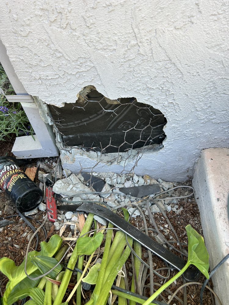 ALL ABOUT TERMITE SOLUTIONS - Updated August 2025 - 24 Photos & 25 ...