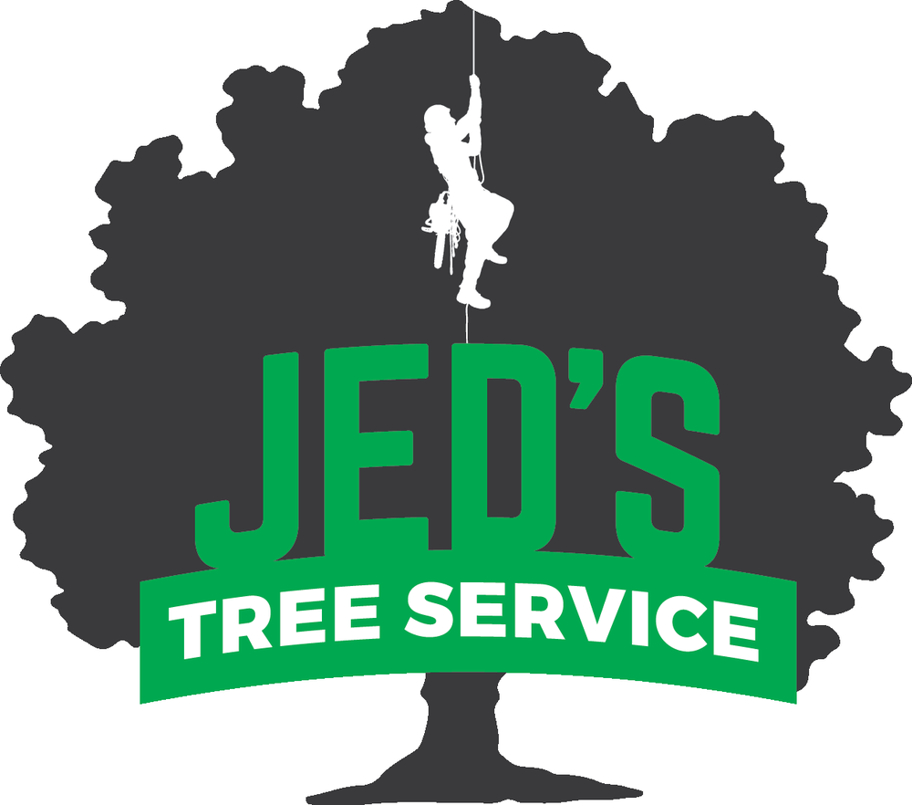 JED’S TREE SERVICE - Updated January 2026 - Strum, Wisconsin - Tree ...