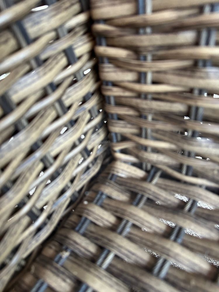 ORKIN PEST & TERMITE CONTROL - Updated October 2025 - 260 Gateway Dr ...