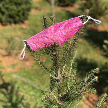 SNICKERS GAP CHRISTMAS TREE FARM - TEMP. CLOSED - Updated May 2025 - 79 ...