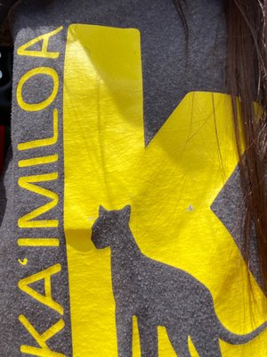 KAIMILOA ELEMENTARY SCHOOL - 91-1028 Kaunolu St, Ewa Beach, Hawaii ...