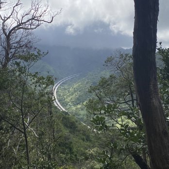AIEA LOOP TRAIL - 1319 Photos & 302 Reviews - 99-1849 Aiea Heights Dr ...