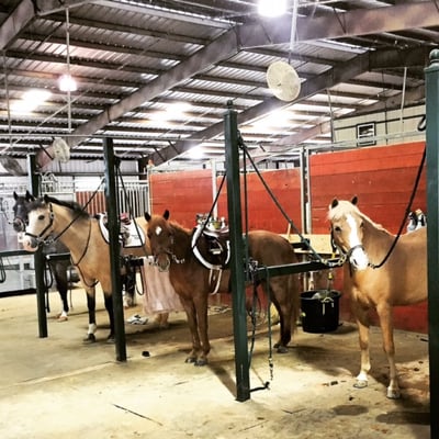 DALLAS EQUESTRIAN CENTER - Updated December 2025 - 13 Photos - 8787 ...
