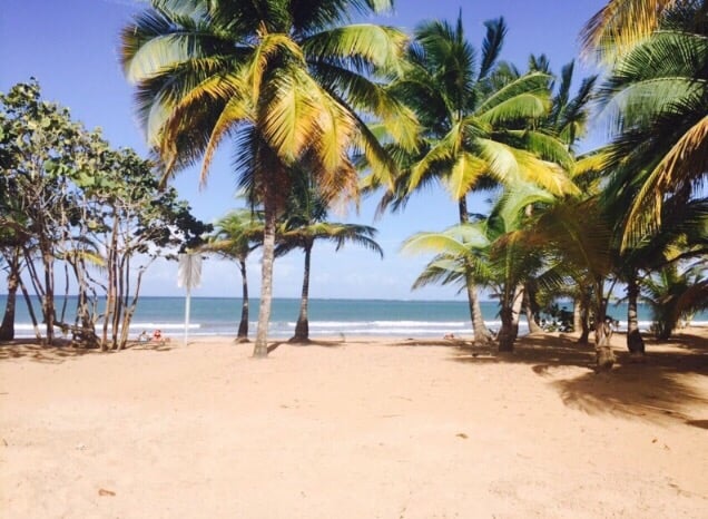 BOSQUE DEL MAR - Updated December 2025 - Blvd. Rio Mar S/N, Río Grande ...