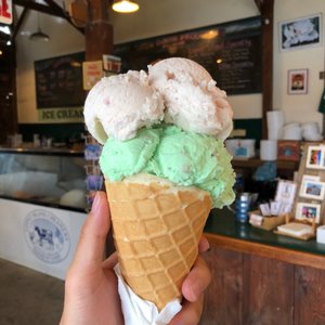 SNOW GOOSE PRODUCE - 334 Photos & 163 Reviews - Fruits & Veggies ...