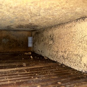 INDIO MANAGEMENT - Updated October 2025 - 32 Photos & 105 Reviews ...