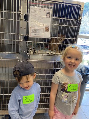 GREATER BIRMINGHAM HUMANE SOCIETY - Updated October 2025 - 50 Photos ...