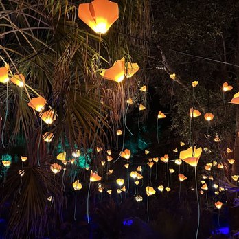 LIGHTSCAPE SAN DIEGO - Updated November 2024 - 189 Photos & 38 Reviews ...