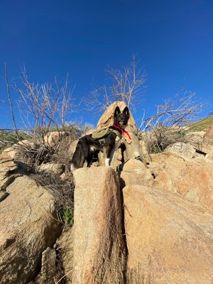 BOX SPRINGS MOUNTAIN RESERVE - Updated December 2025 - 319 Photos & 61 ...