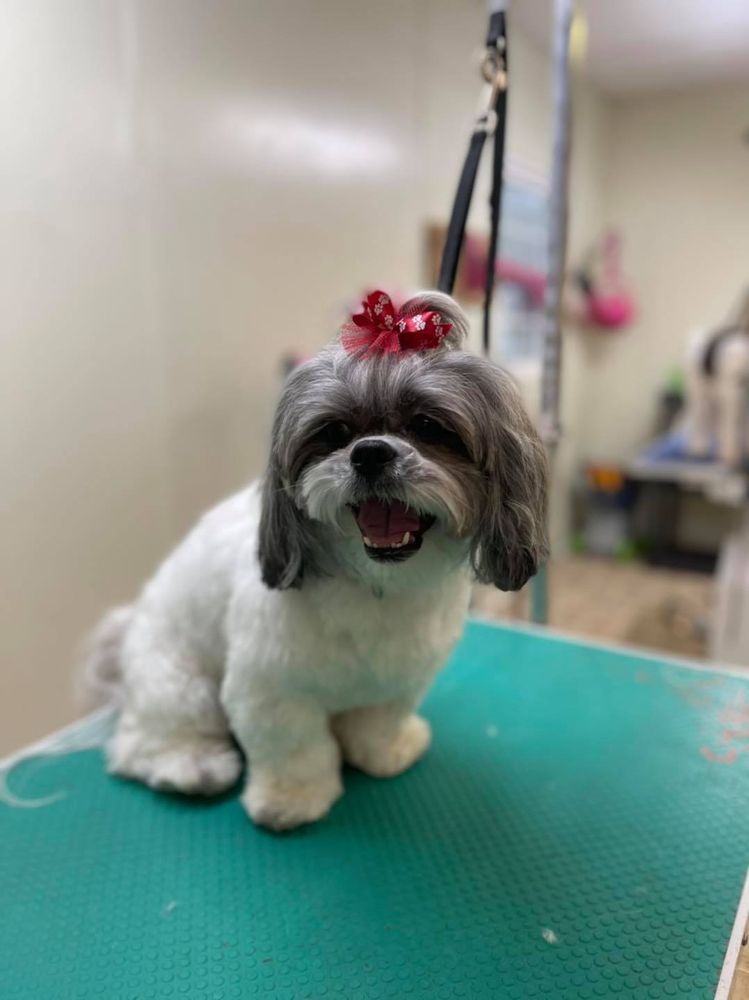 THE GROOM STATION - Updated October 2025 - 45 Photos - 104 Fortenberry ...