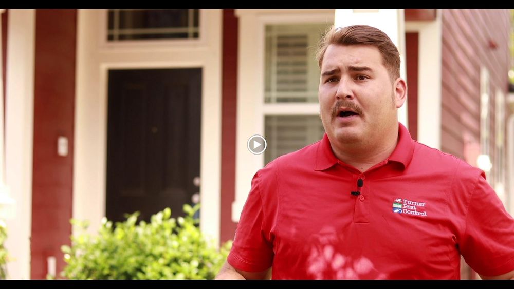TURNER PEST CONTROL - Updated June 2026 - 31 Photos - 10255 Fortune ...