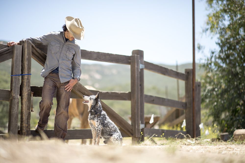 INVISIBLE FENCE OF NORTHERN CALIFORNIA - Updated February 2025 - 35 ...