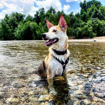 ROY G GUERRERO COLORADO RIVER PARK - Updated October 2025 - 49 Photos ...