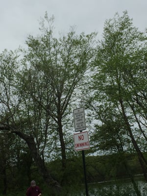 BUCKMASTER POND - Updated December 2025 - 12 Photos - 350 Pond St ...