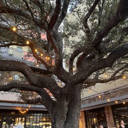 IL BRUTTO - Updated December 2025 - 876 Photos & 666 Reviews - 1601 E ...