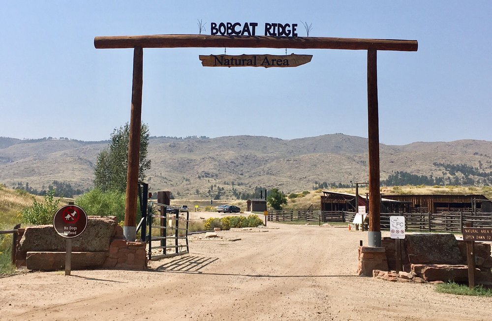 BOBCAT RIDGE NATURAL AREA - Updated March 2025 - 12 Photos - 10184 W ...