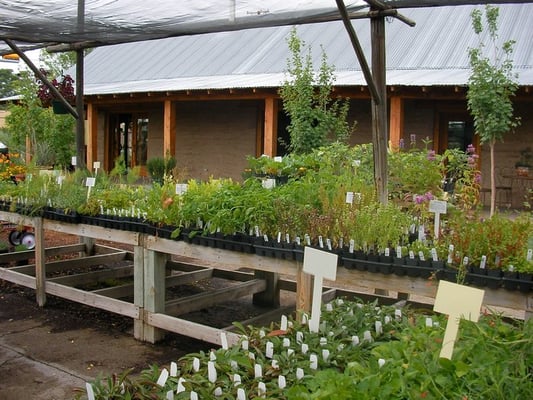 PLANTS OF THE SOUTHWEST - TEMP. CLOSED - Updated January 2026 - 25 ...