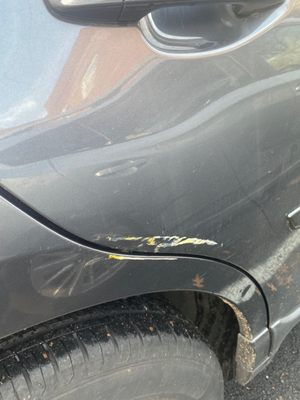 GRAND PRIX SUBARU - Updated November 2025 - 73 Photos - 273 Reviews ...