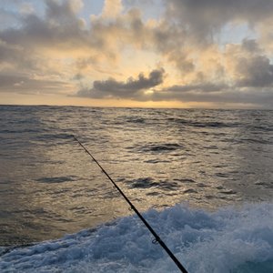 MUTINEER CHARTERS - Updated October 2025 - 21 Photos & 16 Reviews - 321 ...