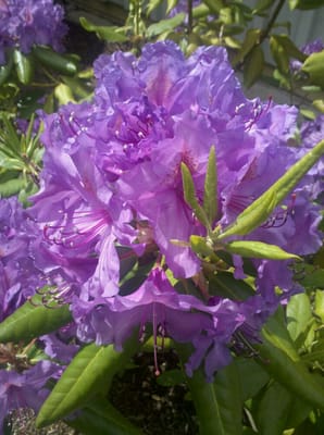 GOOD SAMARITAN REGIONAL MEDICAL CENTER - Updated January 2026 - 19 ...